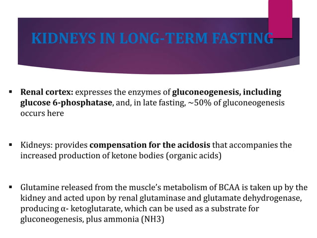 FEED FAST CYCLE DETAILS. METABOLISM IN WEL FED AND FASTING STATE | PPTX