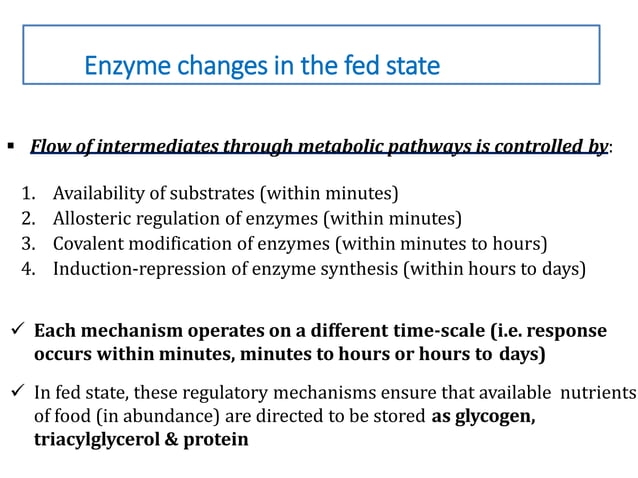 FEED FAST CYCLE DETAILS. METABOLISM IN WEL FED AND FASTING STATE | PPTX