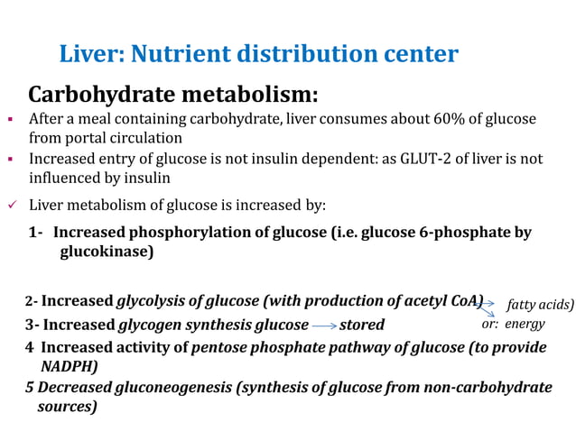 FEED FAST CYCLE DETAILS. METABOLISM IN WEL FED AND FASTING STATE | PPTX