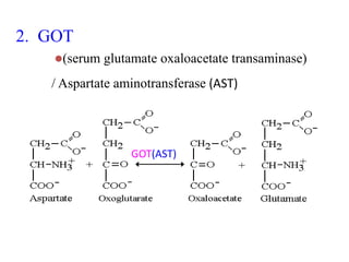 MBBS II Nitrogen Metabolism 1.pptx | Chemistry | Science