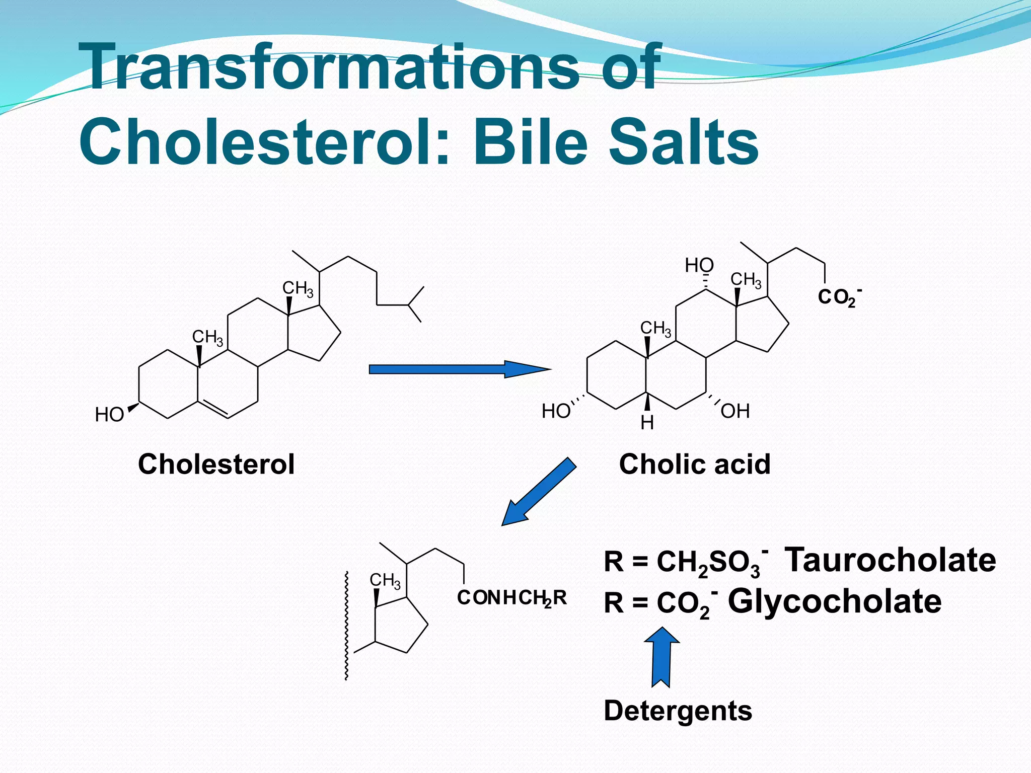 Overview of lipid metabolism | PPTX