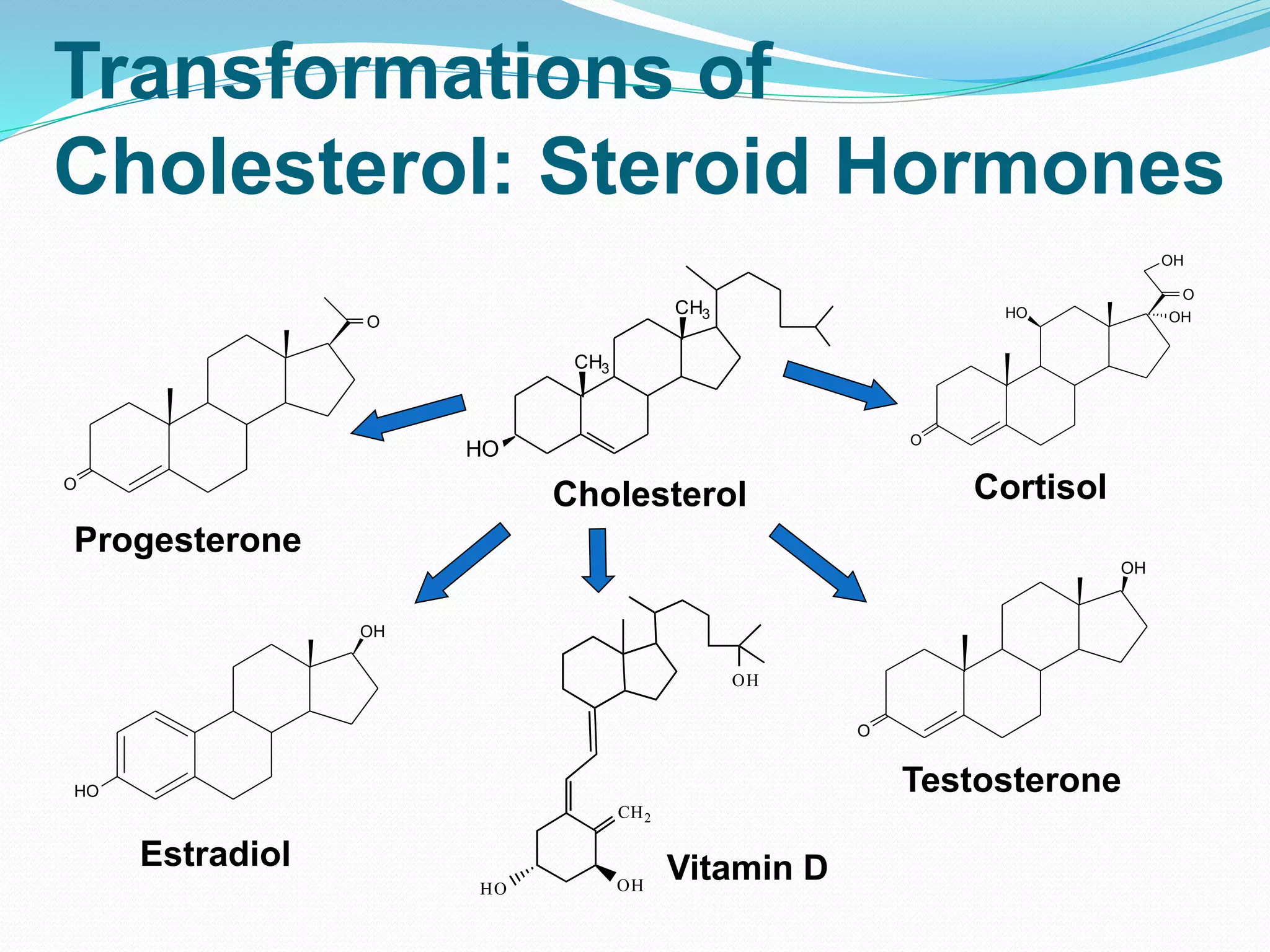 Overview of lipid metabolism | PPTX