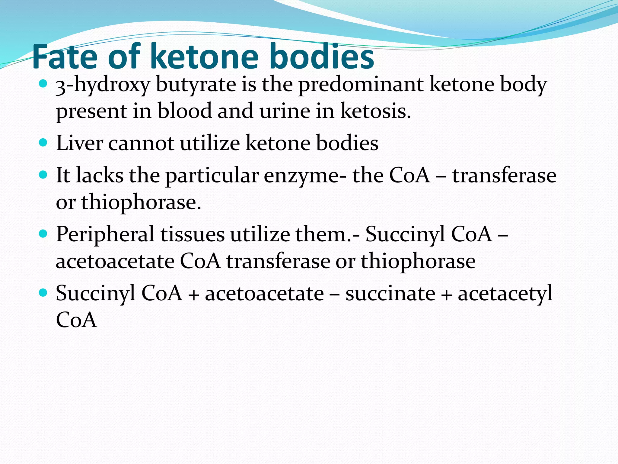 Overview of lipid metabolism | PPTX