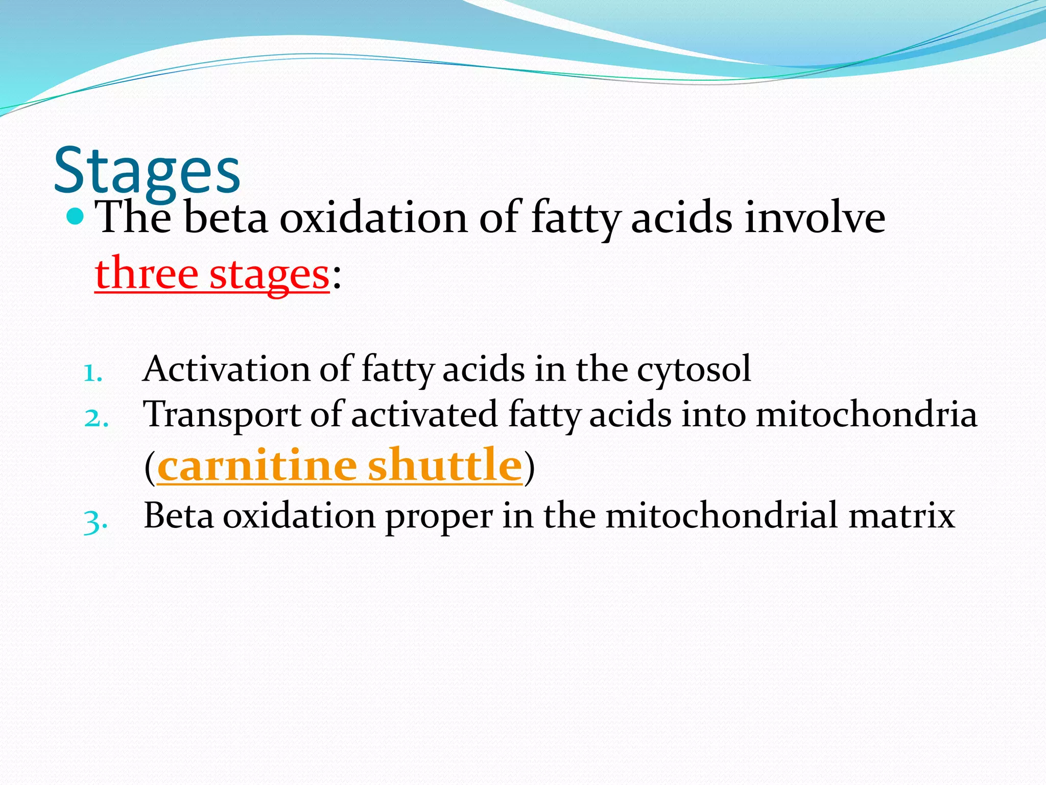 Overview of lipid metabolism | PPTX