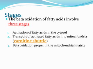 Overview of lipid metabolism | PPTX