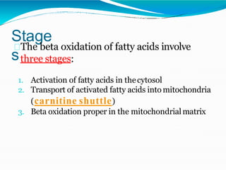 lipids | PPTX