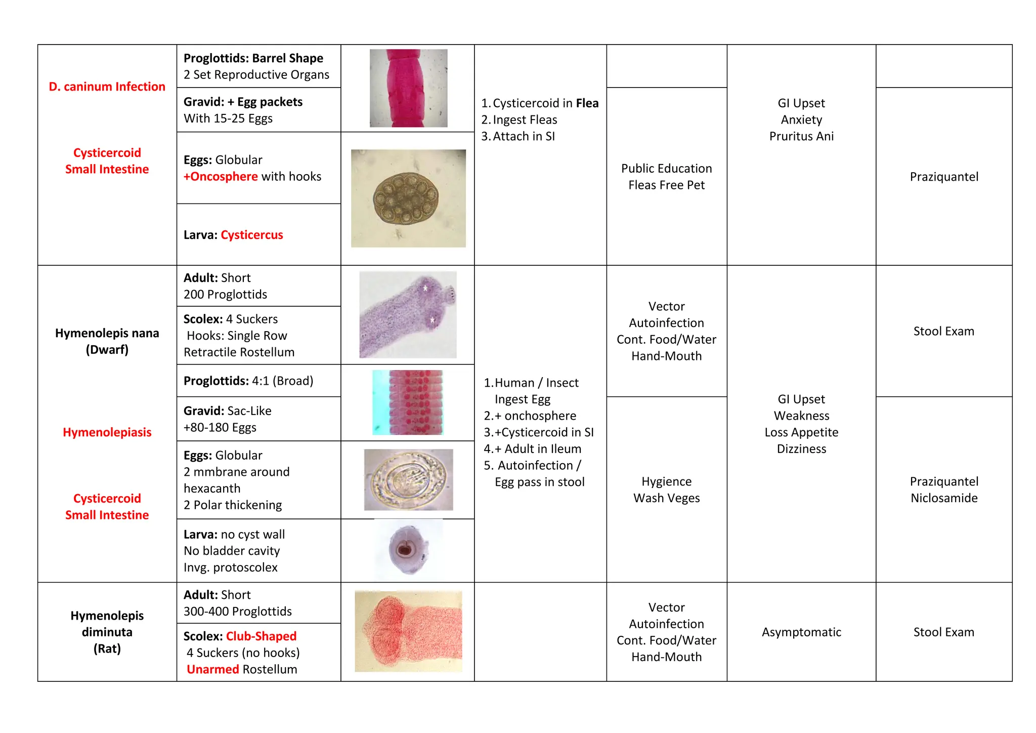 MBBS Parasitology, Parasitology made easy | PDF