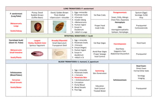 MBBS Parasitology, Parasitology made easy | PDF