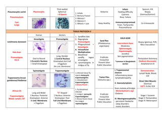 MBBS Parasitology, Parasitology made easy | PPT
