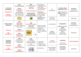 MBBS Parasitology, Parasitology made easy | PPT