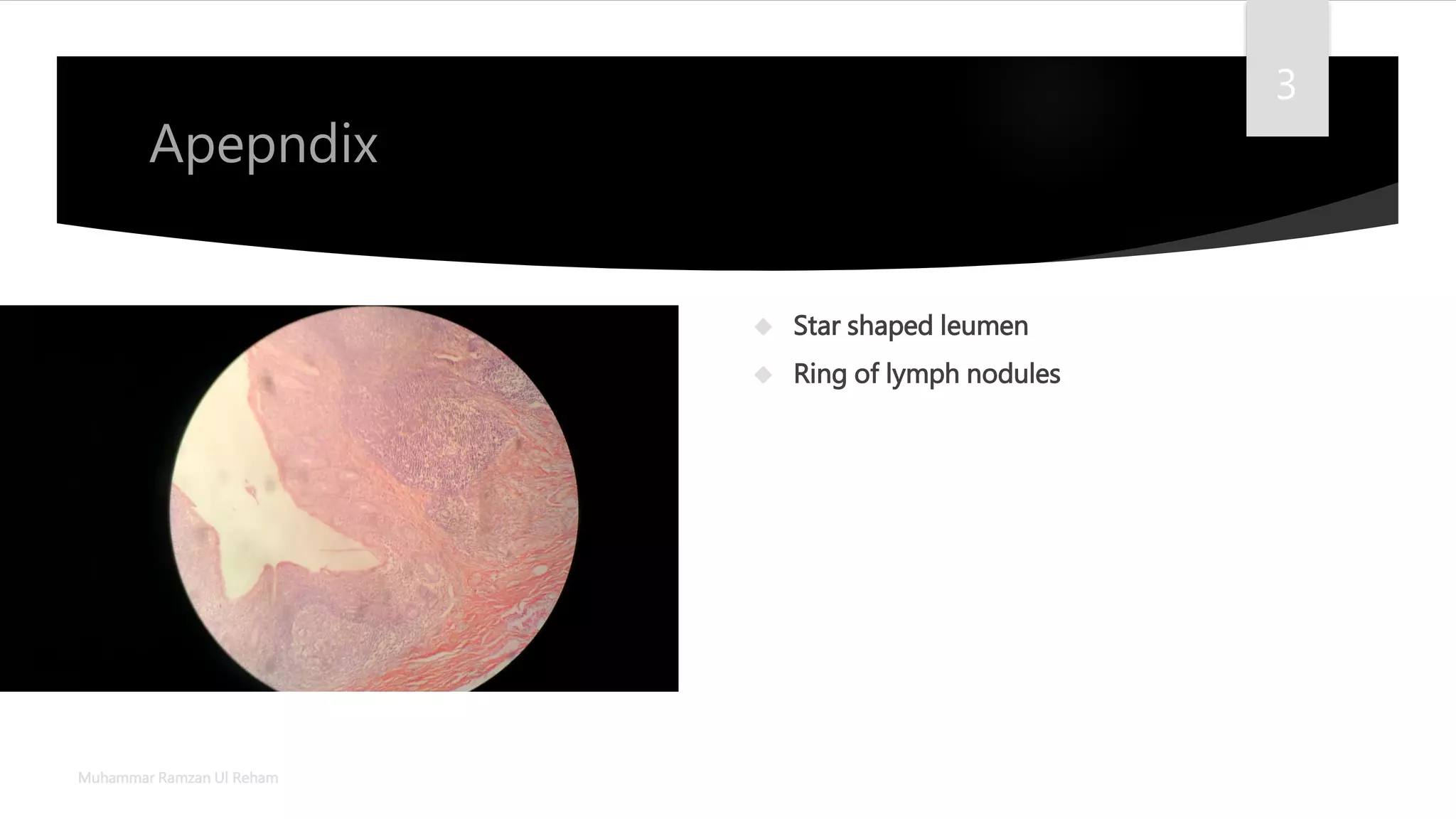 Mbbs part 2 histology slides labelled | PPTX