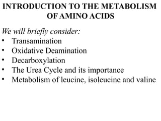 Comprehensive Overview of Protein Metabolism and Amino Acid ...