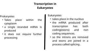 RT PCR and qPCR, eukaryotic and prokaryotictranscription | PPT