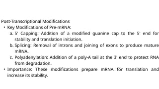 RT PCR and qPCR, eukaryotic and prokaryotictranscription | PPT