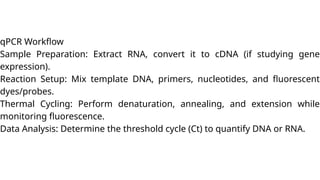 RT PCR and qPCR, eukaryotic and prokaryotictranscription | PPT
