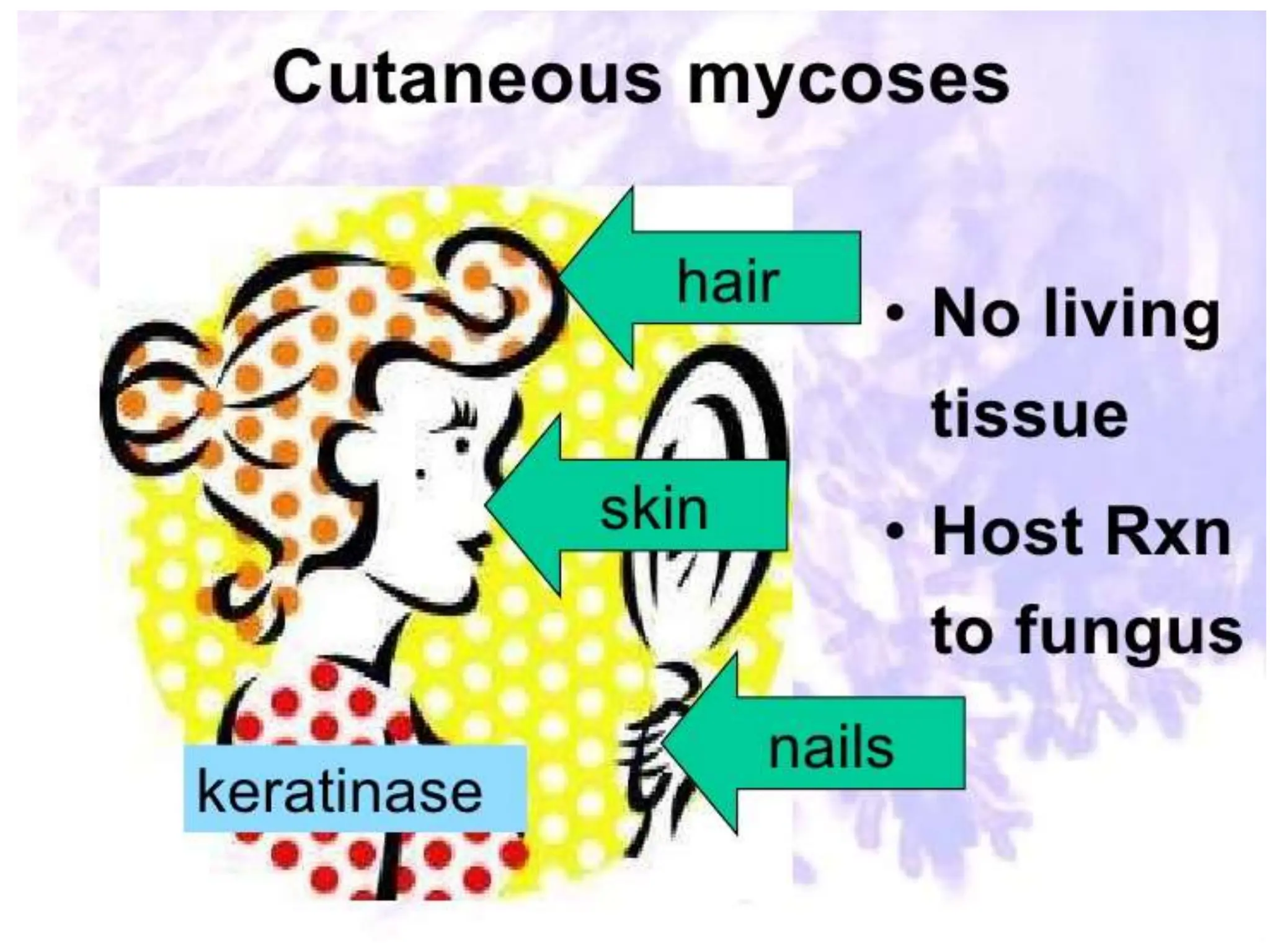 Introduction to superficial mycoses Apr2024.ppt
