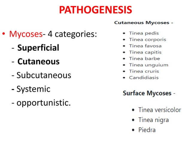 Introduction to superficial mycoses Apr2024.ppt