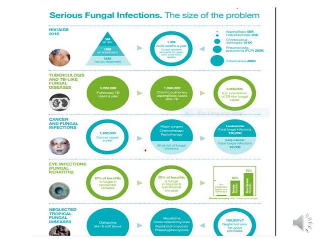 Introduction to superficial mycoses Apr2024.ppt