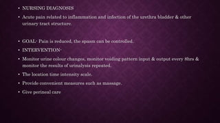 urinary tract infection | PPT