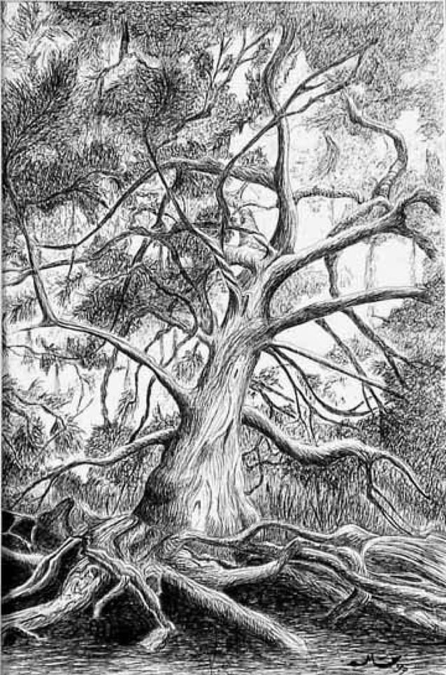 Fine Art Illustration | PDF