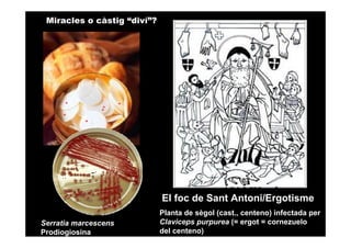 Microbis en els aliments | PDF