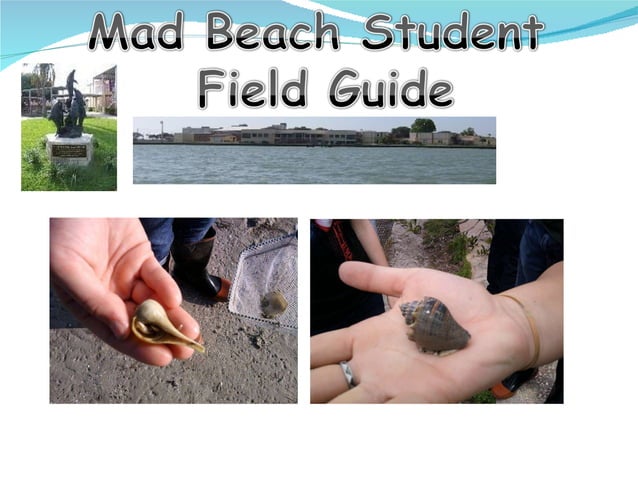 Mbfs student field guide 4 | PPT