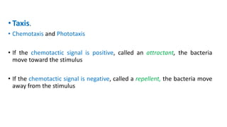 Introduction to bacteria | PPT