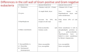 Introduction to bacteria | PPT