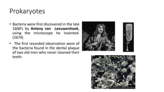 Introduction to bacteria | PPT