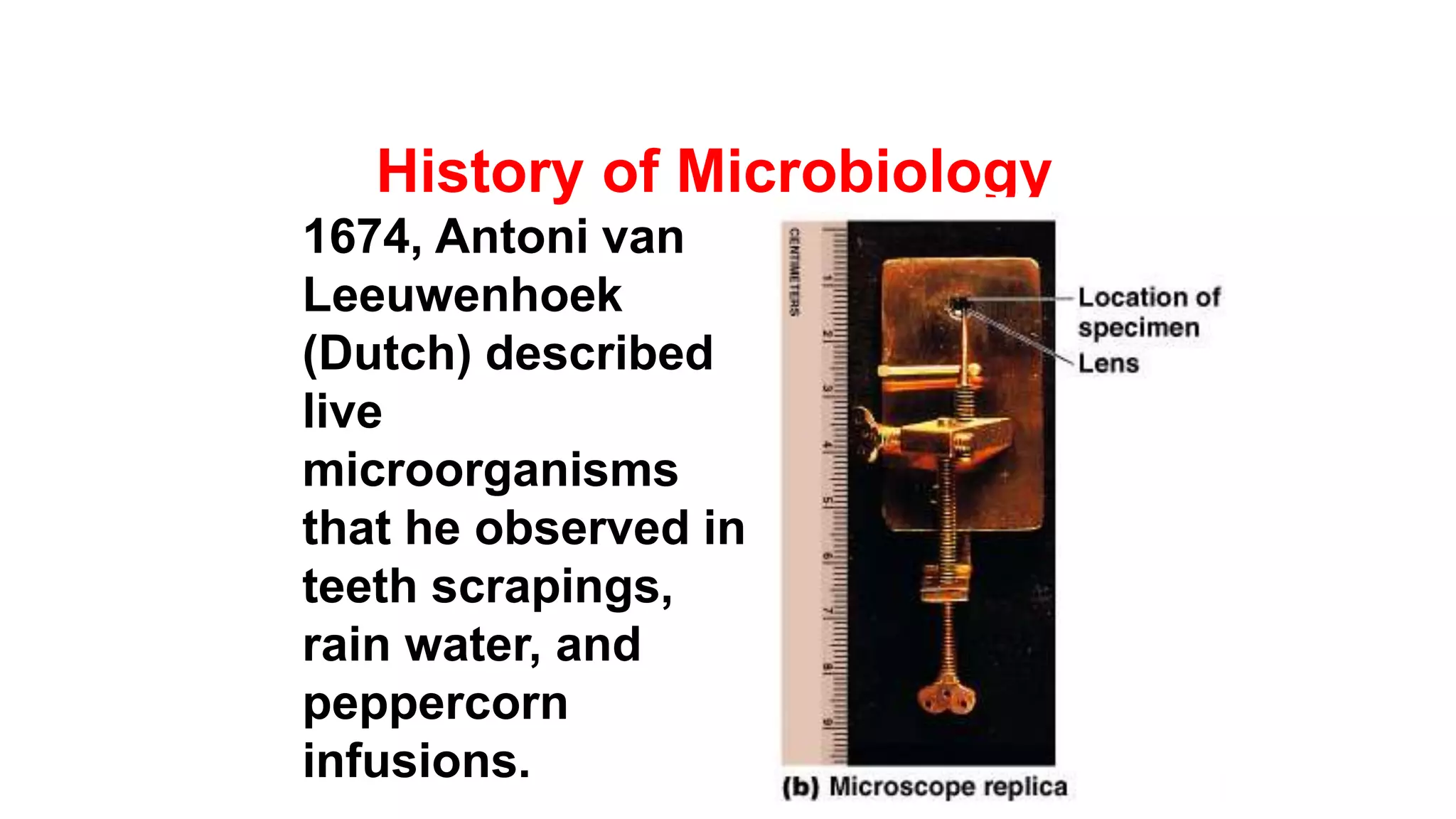 History of microbiology | PPTX