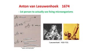 History of microbiology | PPTX