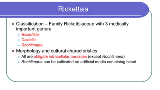 Rickettsias and Chlamydias | PPTX