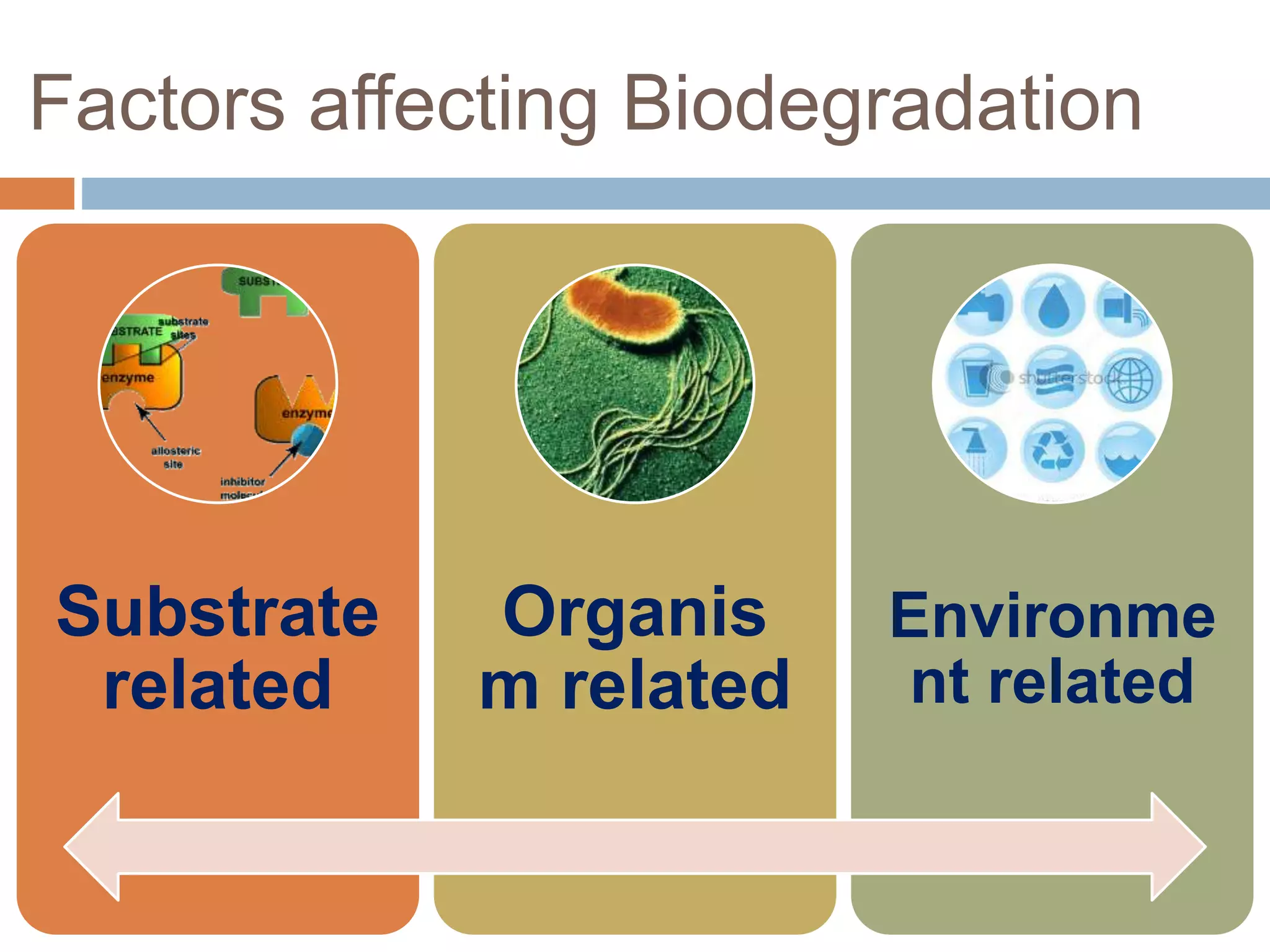 Biodegradation | PPTX