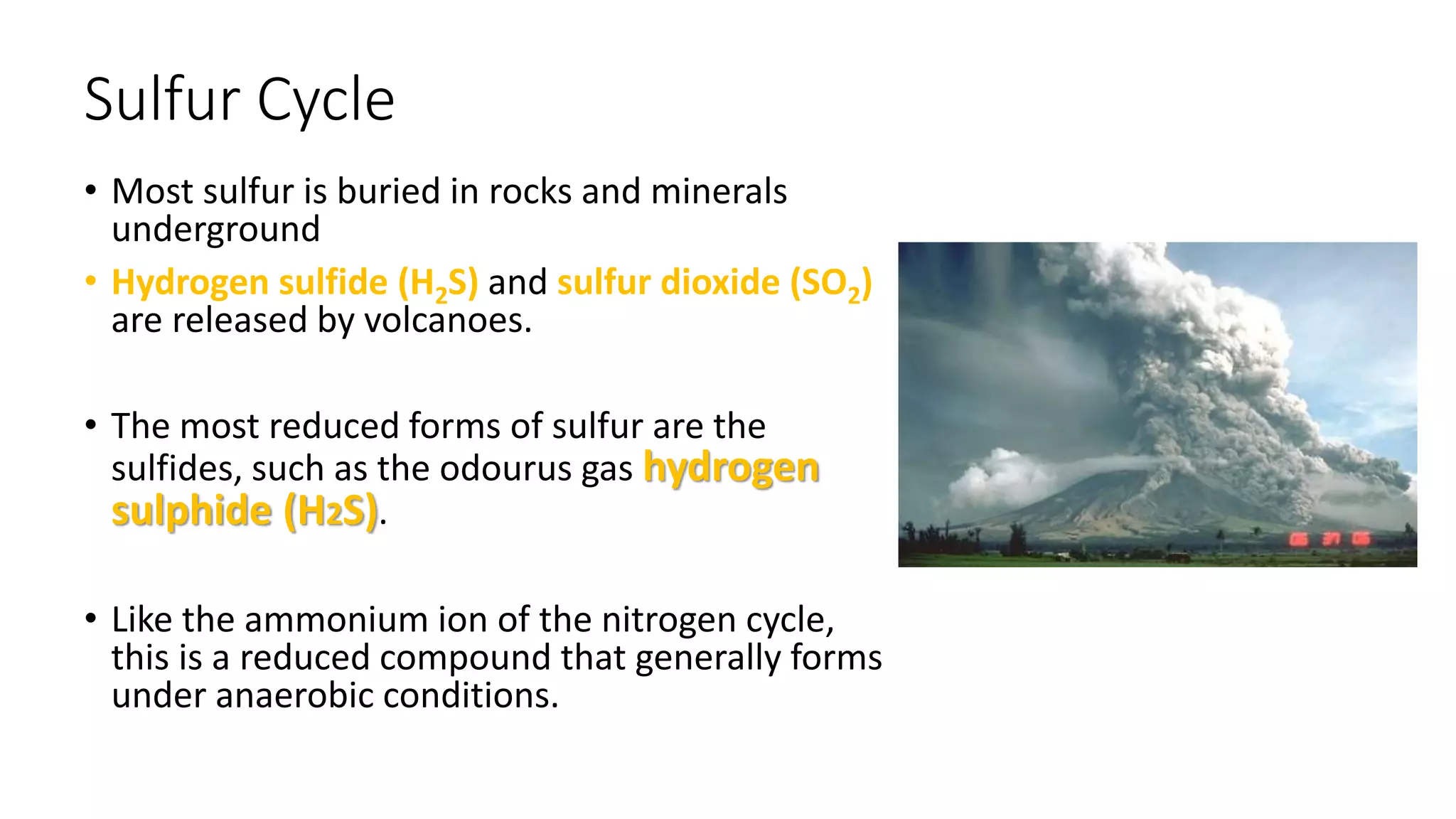 Sulphur cycle | PPTX