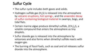 Sulphur cycle | PPTX