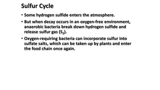 Sulphur cycle | PPTX