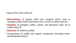 Sulphur cycle | PPTX