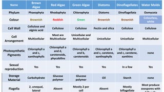 Algae | PPTX | Biological Sciences | Science