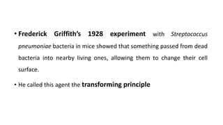 Principles of microbial genetics | PPTX
