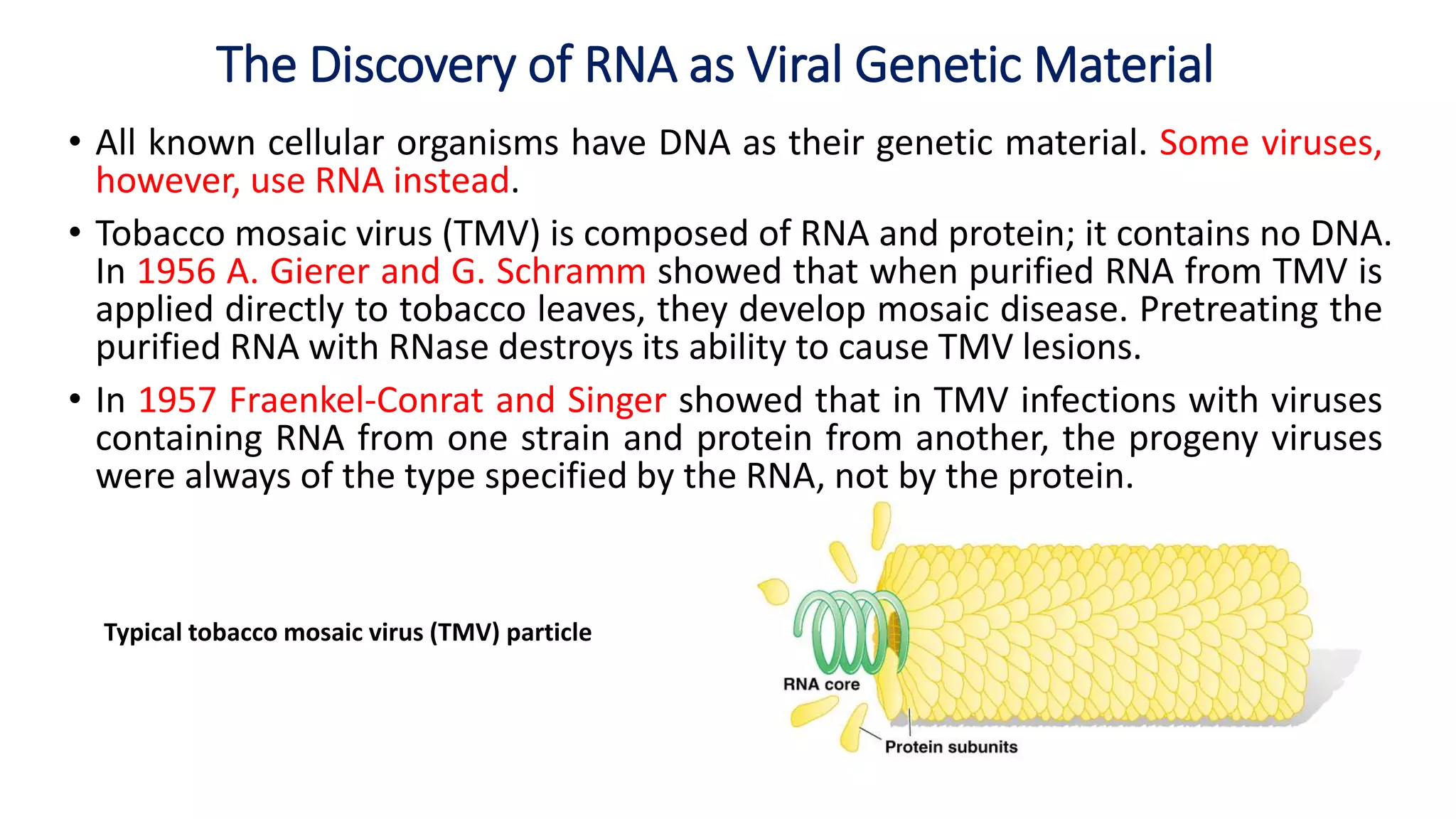 RNA as a genetic material | PPTX