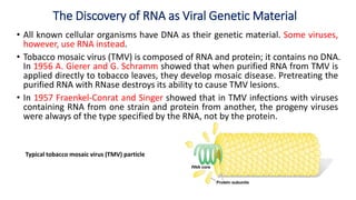 RNA as a genetic material | PPTX