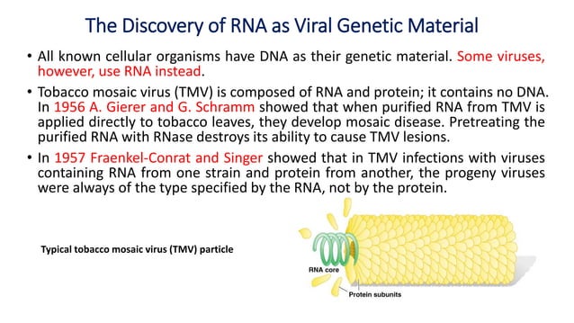 RNA as a genetic material | PPTX