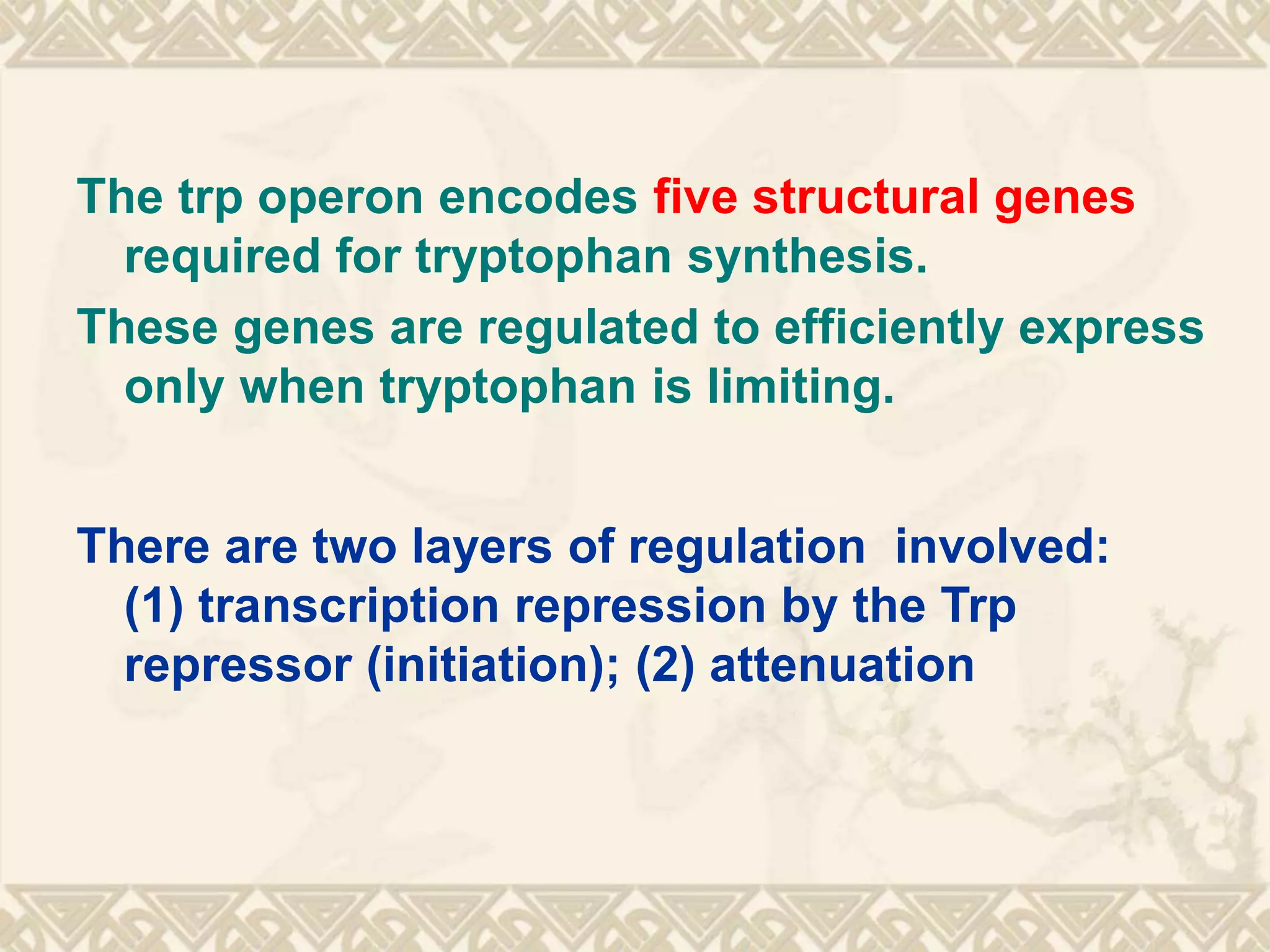 Trp operon | PPT