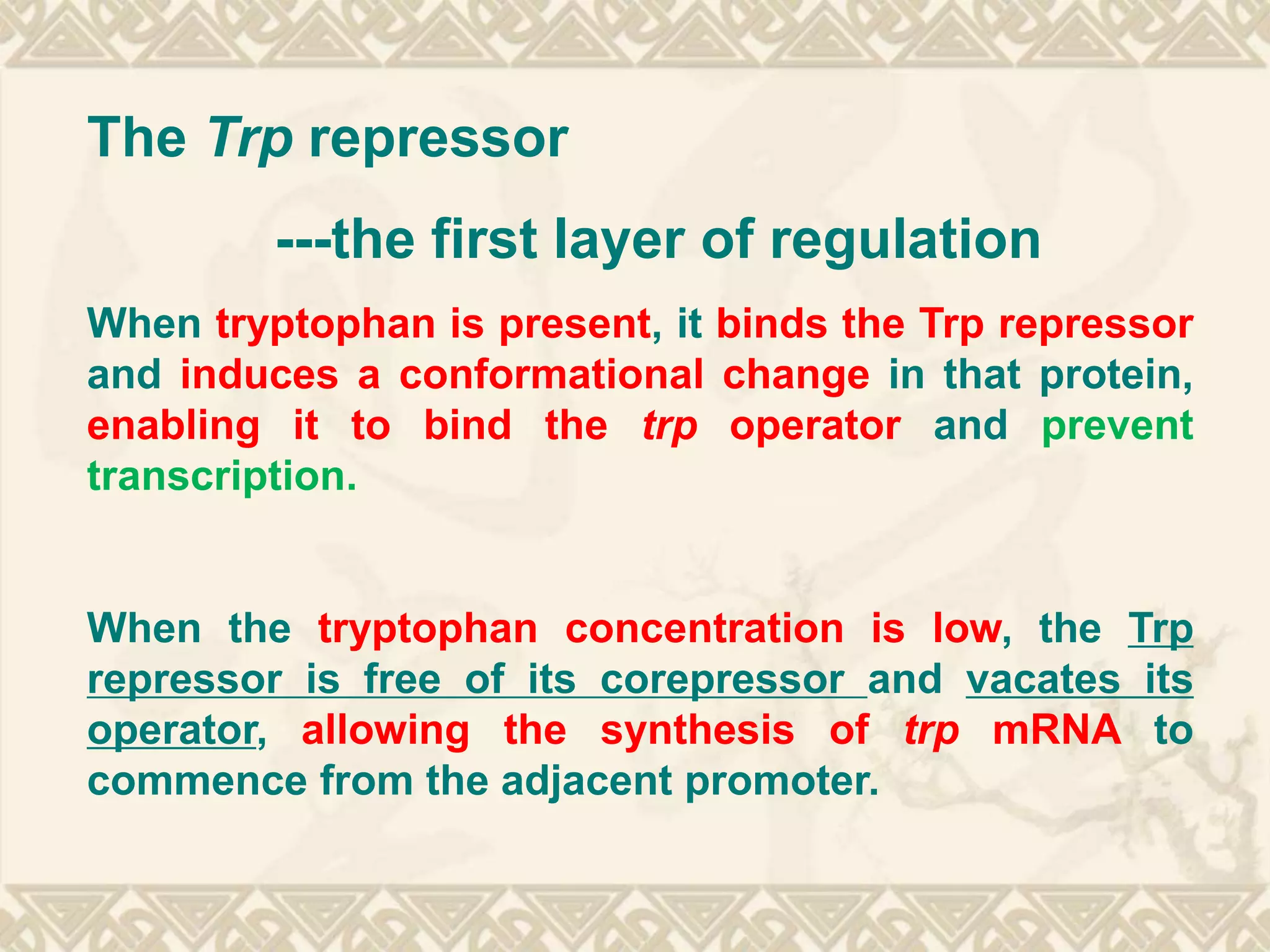 Trp operon | PPT