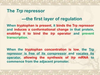 Trp operon | PPT