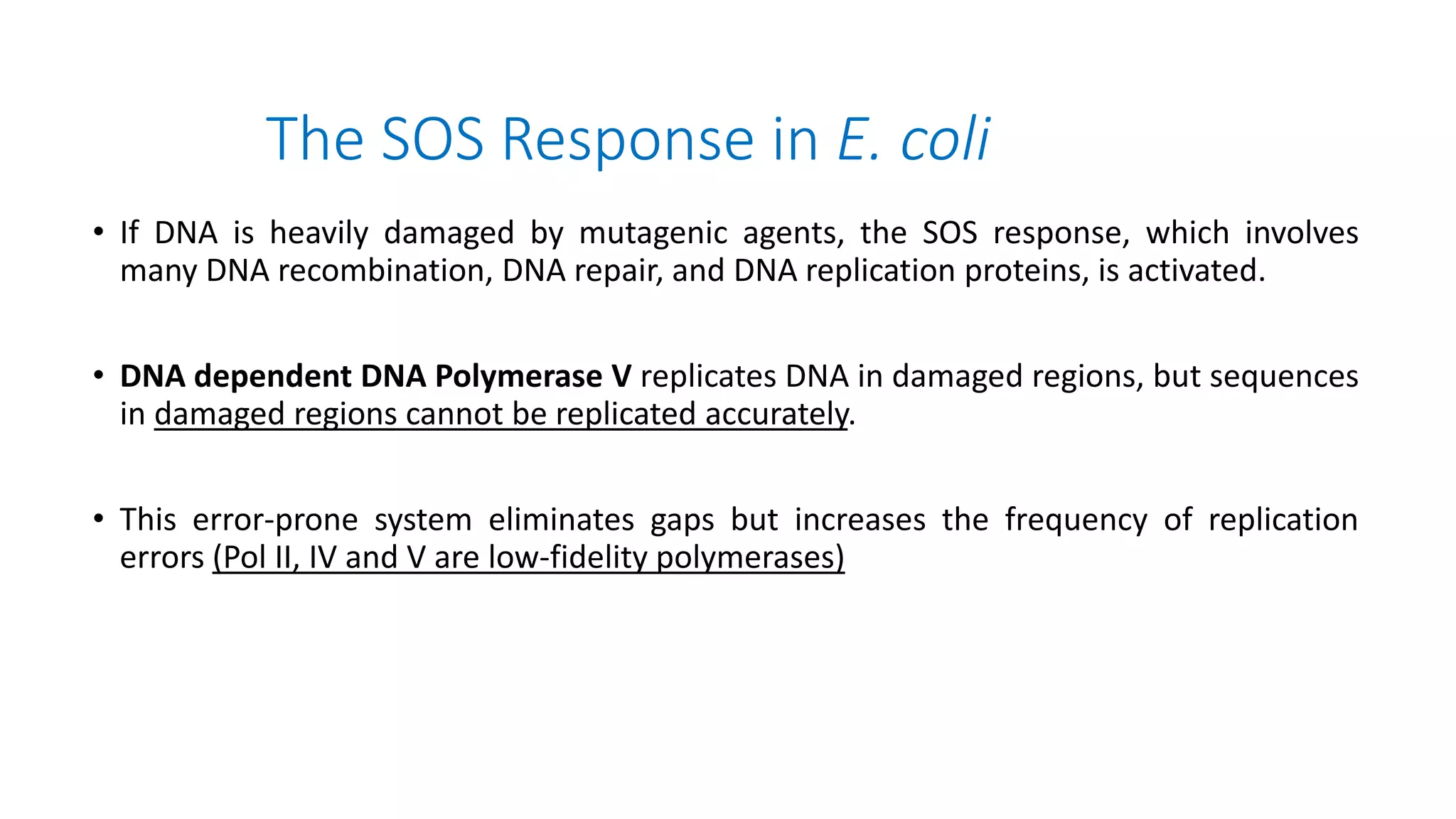 DNA repair mechanism | PPTX