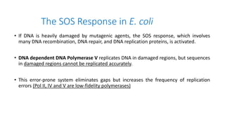 DNA repair mechanism | PPTX