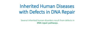 DNA repair mechanism | PPTX