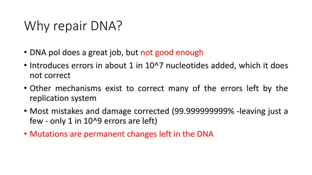 DNA repair mechanism | PPTX | Genetics | Science