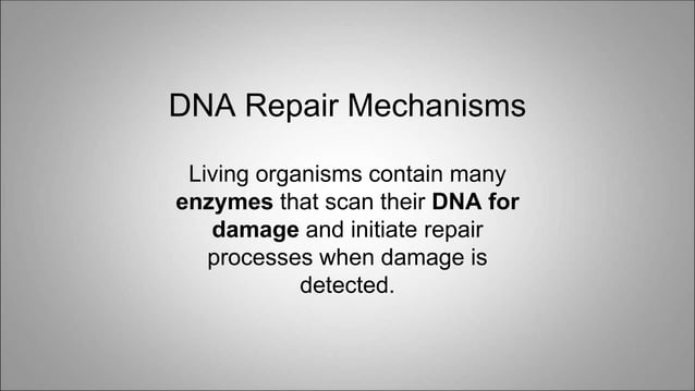 DNA repair mechanism | PPTX | Genetics | Science